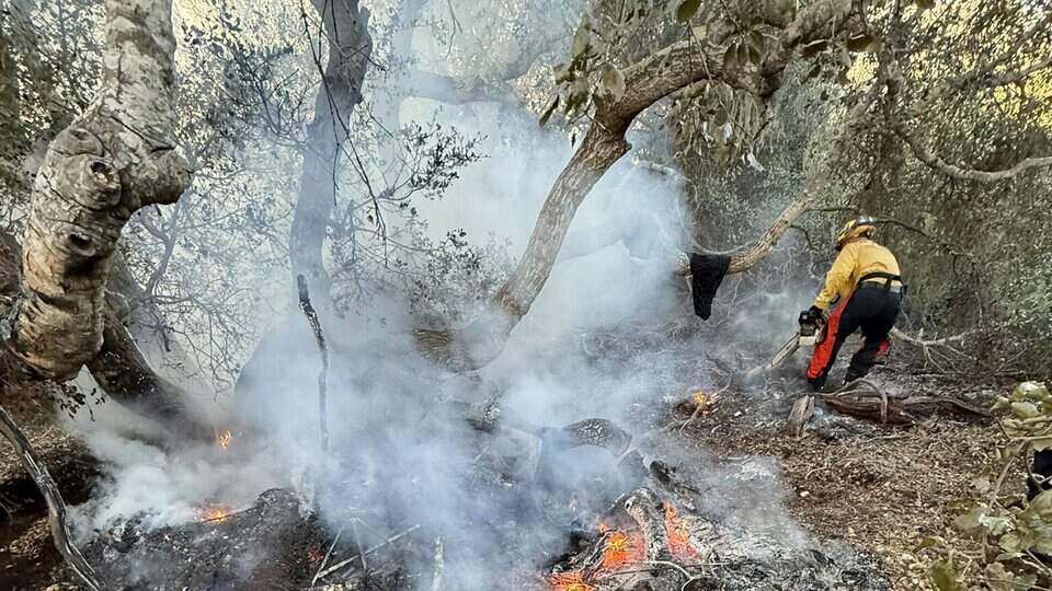Vegetation fire ignites at SLO County CA forest | San Luis Obispo Tribune