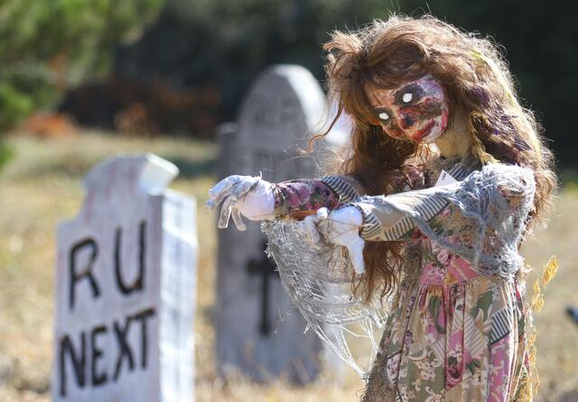 Cambria Scarecrow Festival makes USA Today list of fall events | San ...