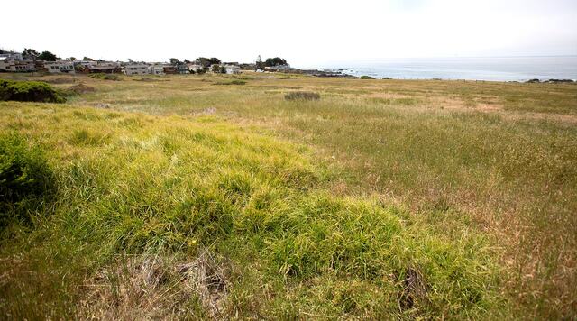 Fiscalini Ranch Preserve to get a new ADA-compliant boardwalk | San ...