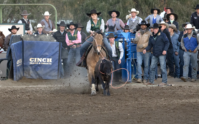 Cal Poly SLO to launch ticket sales for Poly Royal Rodeo | San Luis ...