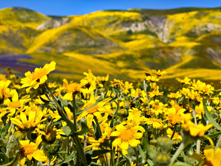 3 key risks and protections to Central Coast CA public lands | San Luis ...
