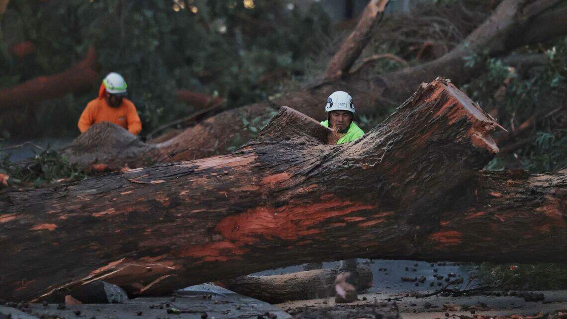 SLO County CA tornado: See photo, video of wind storm damage | San Luis ...