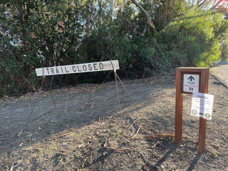 Mountain lion sightings prompt closure of SLO hiking trail | San Luis ...